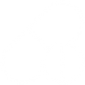 Leo Nutriscience, Vitamin Gummy Manufacturer, Multivitamin Gummies ...