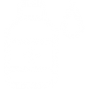 Leo Nutriscience, Vitamin Gummy Manufacturer, Multivitamin Gummies ...